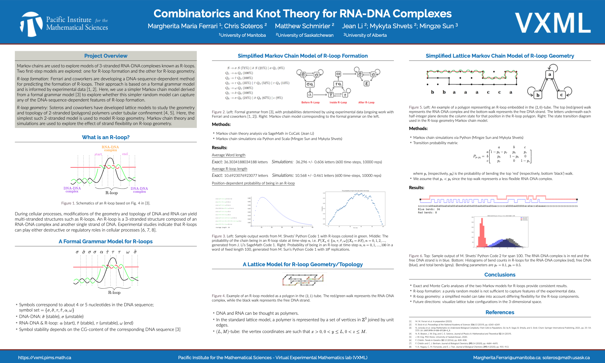 Combinatorics and Knot Theory for RNA-DNA Complexes | PIMS VXML