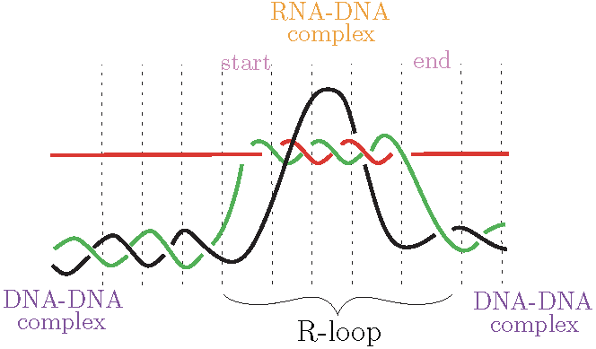 Combinatorics and Knot Theory for RNA-DNA Complexes II | PIMS VXML